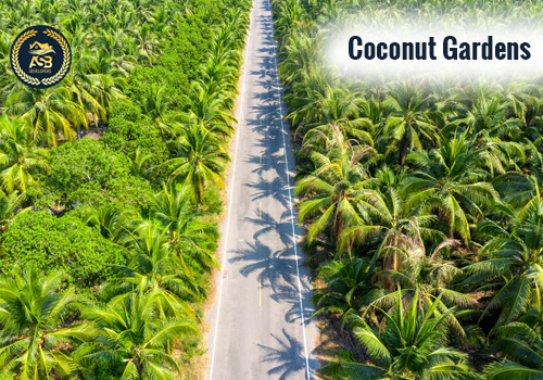 Buy/Sale Property in Around Kakinada & Rajahmundry